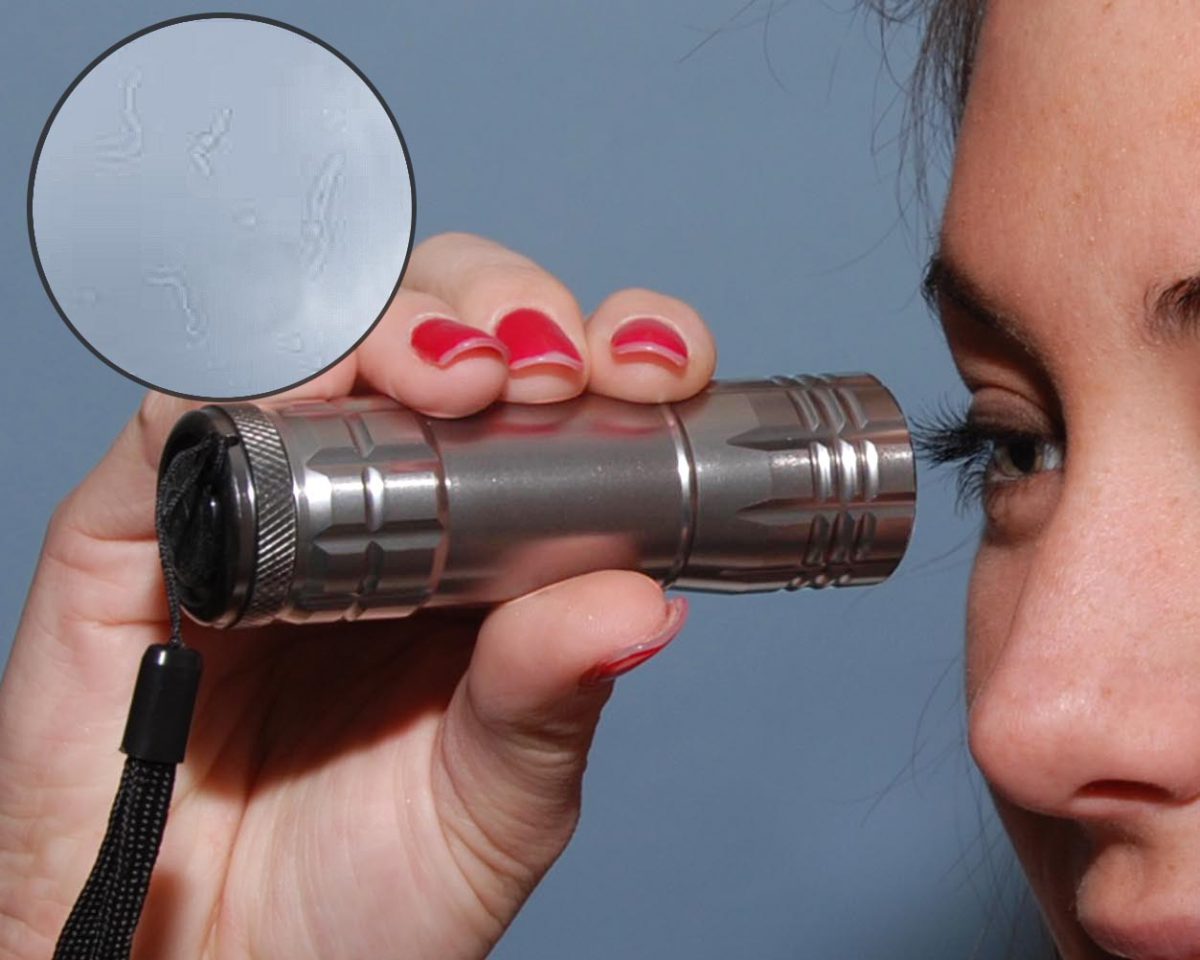 EyeView Floater Demonstrator