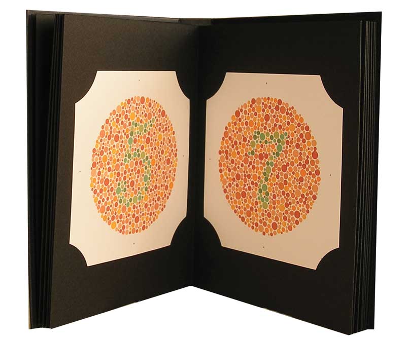 Ishihara Color Testing Book 14 Plate 
